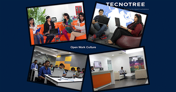 Tecnotree Java/C++ Developer Hiring Challenge